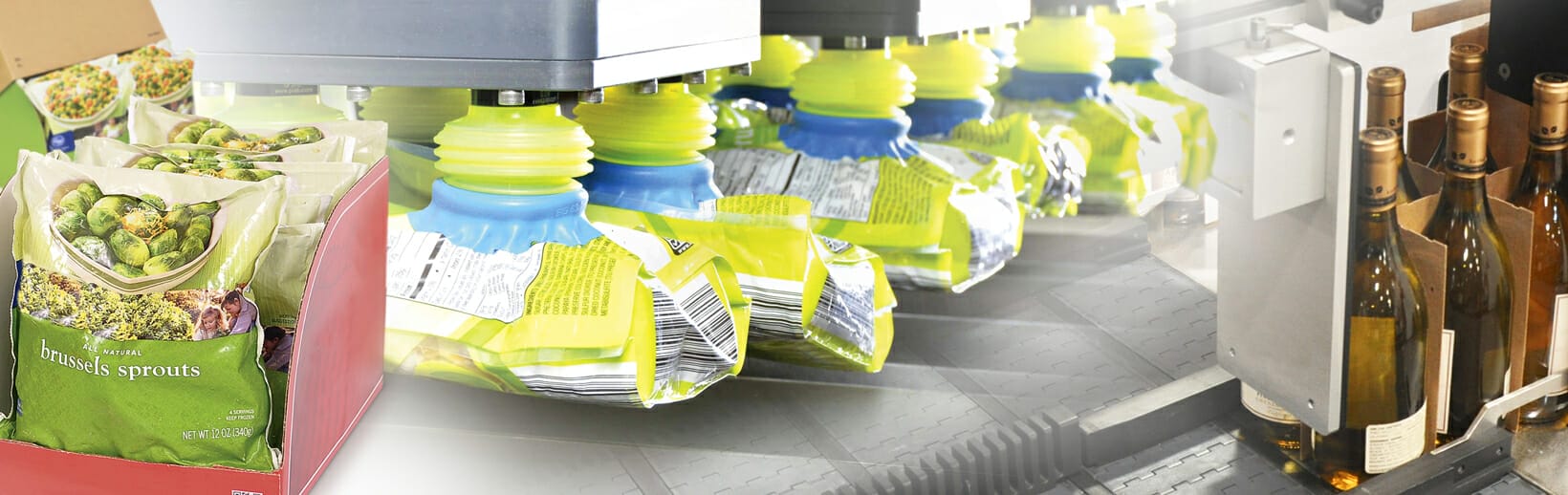 Packaging Solutions | Case Packers & Tray Packers | Douglas Machine